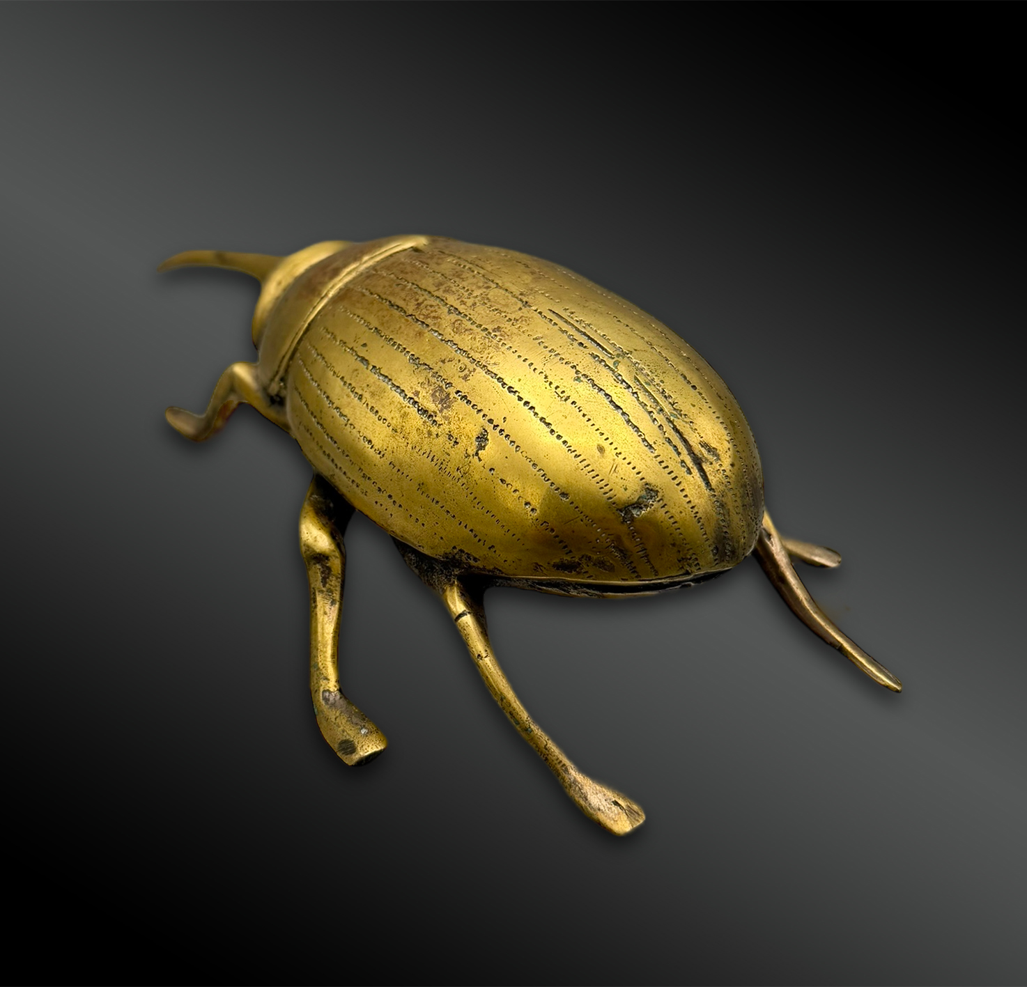 MODERN SCHOOL - Scarab beetle called Dynast Hercules | Paul Bert Serpette