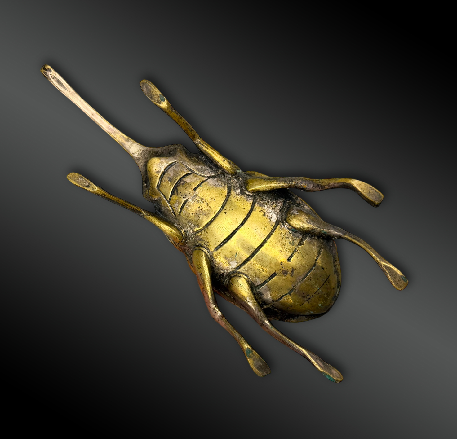 MODERN SCHOOL - Scarab beetle called Dynast Hercules | Paul Bert Serpette